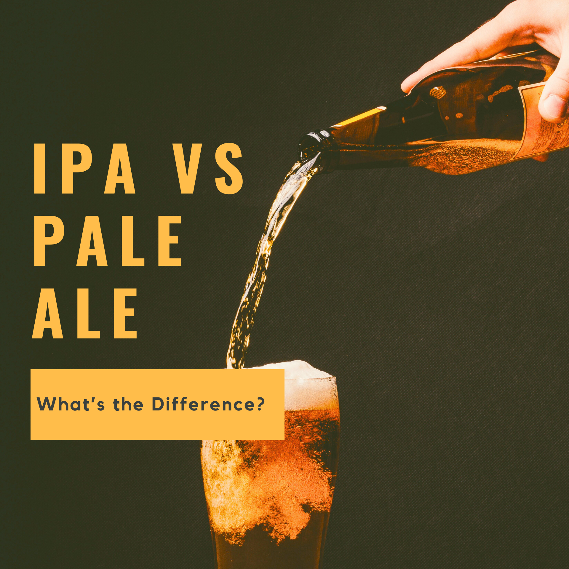 Craft Beer Blog | IPA vs Pale Ale: What is the Difference? – Taps Beer Bar